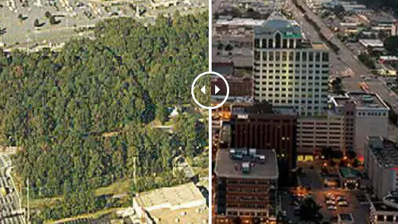 Petition · Disestablish the VBDA - Virginia Beach Economic Development ...
