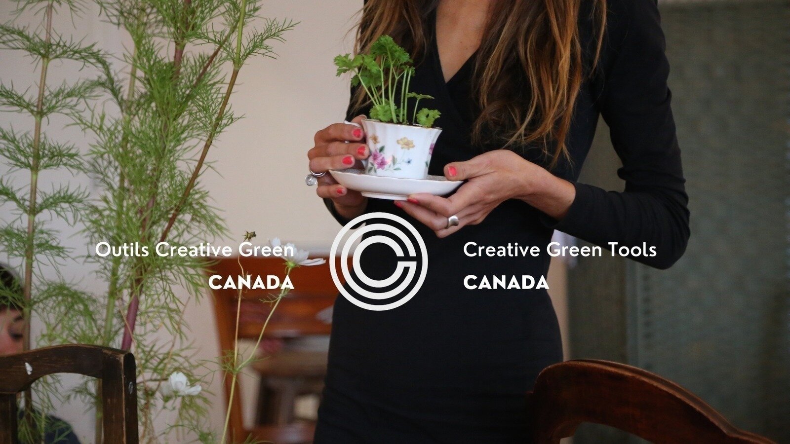 Petition · Provide Canadian Artists with the Creative Green Tools for a ...