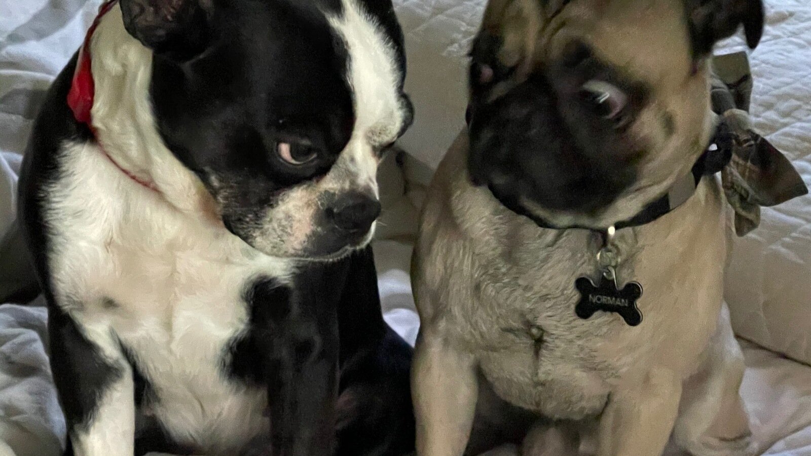 Petition update · High Five! · Change.org · Change.org