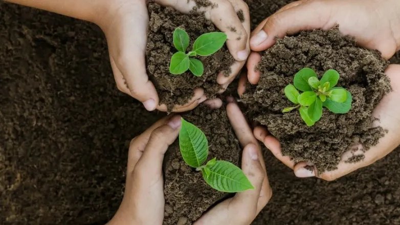 Petition · Family Tree: A Societal Responsibility towards Greenery and ...