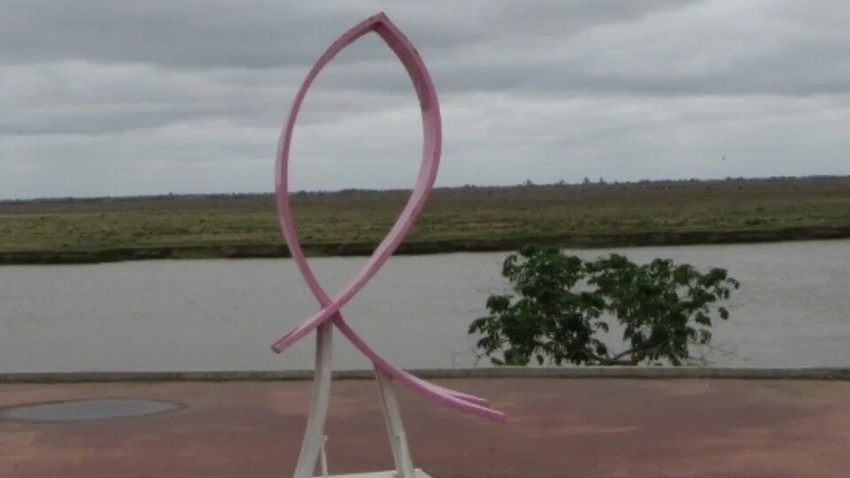 Petición · Apoyemos la construcción de un lazo que simbolice la lucha ...