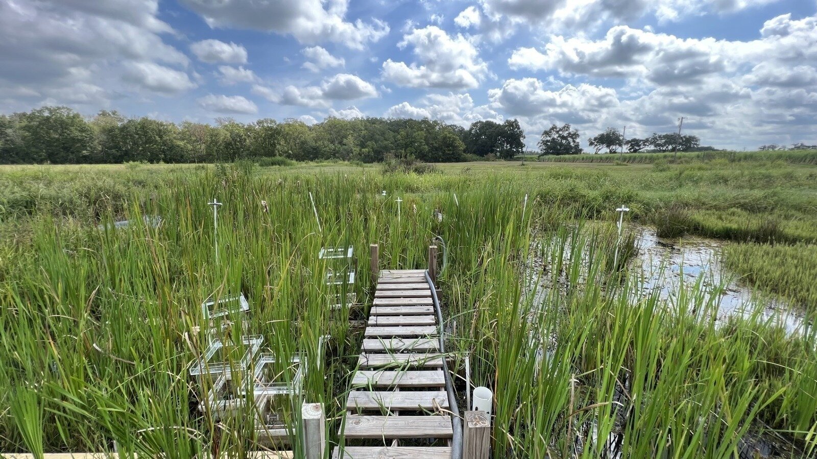 Petition · Urge University of Louisiana at Lafayette to keep Cade Farm ...