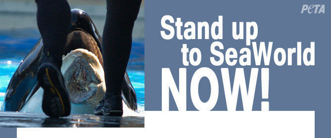 Petition · Shut Down SeaWorld · Change.org