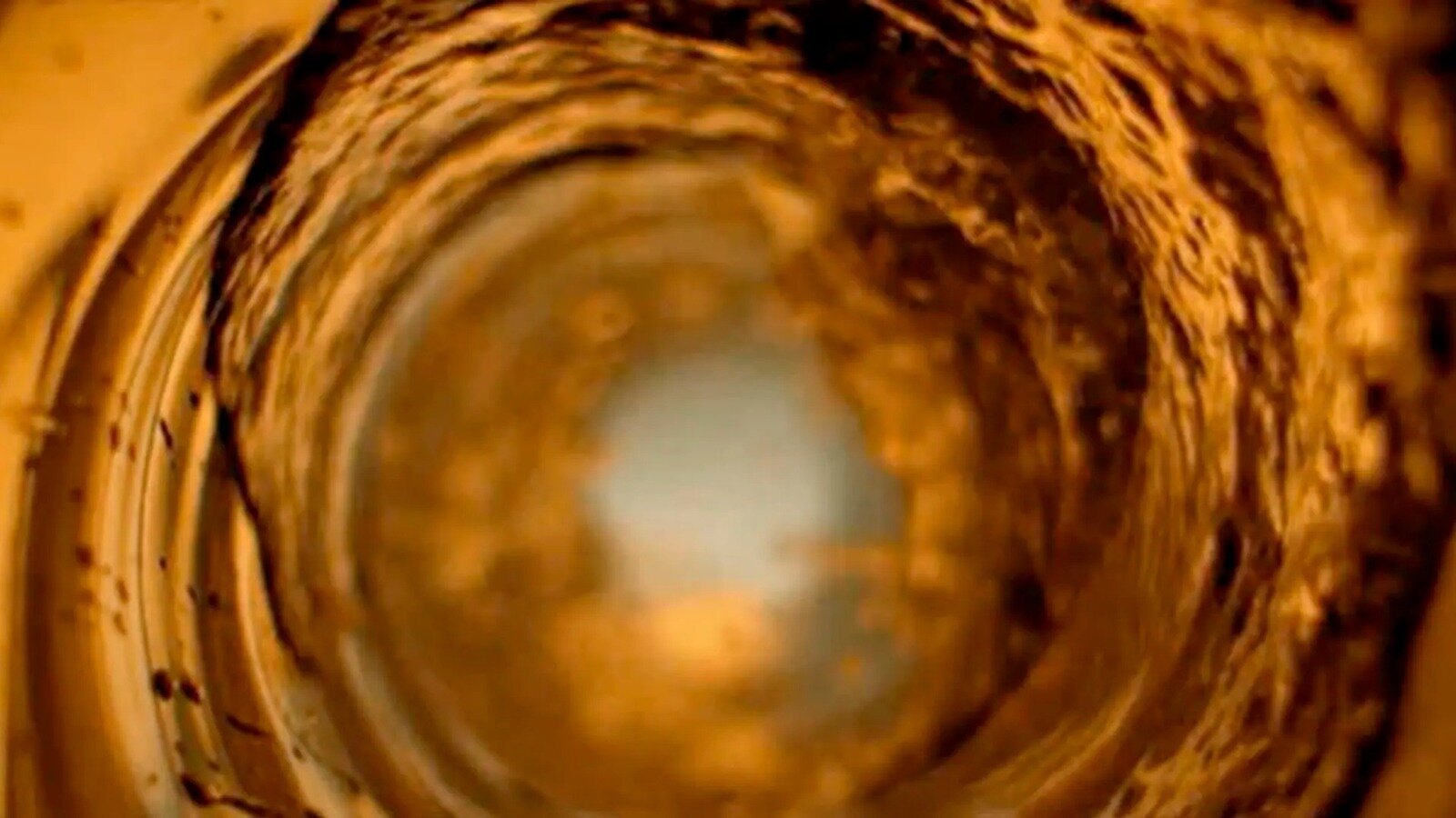 Petition · Reinstate Vortex Bottles for Miller Lite - United States ...