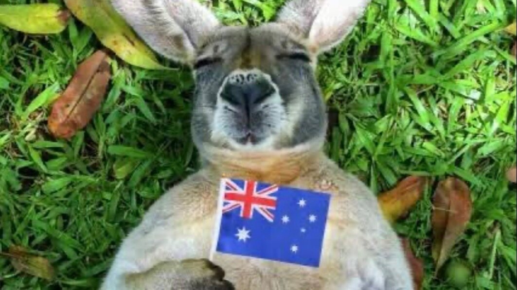 Petition · Demand a Referendum for One Vote One Value System ...