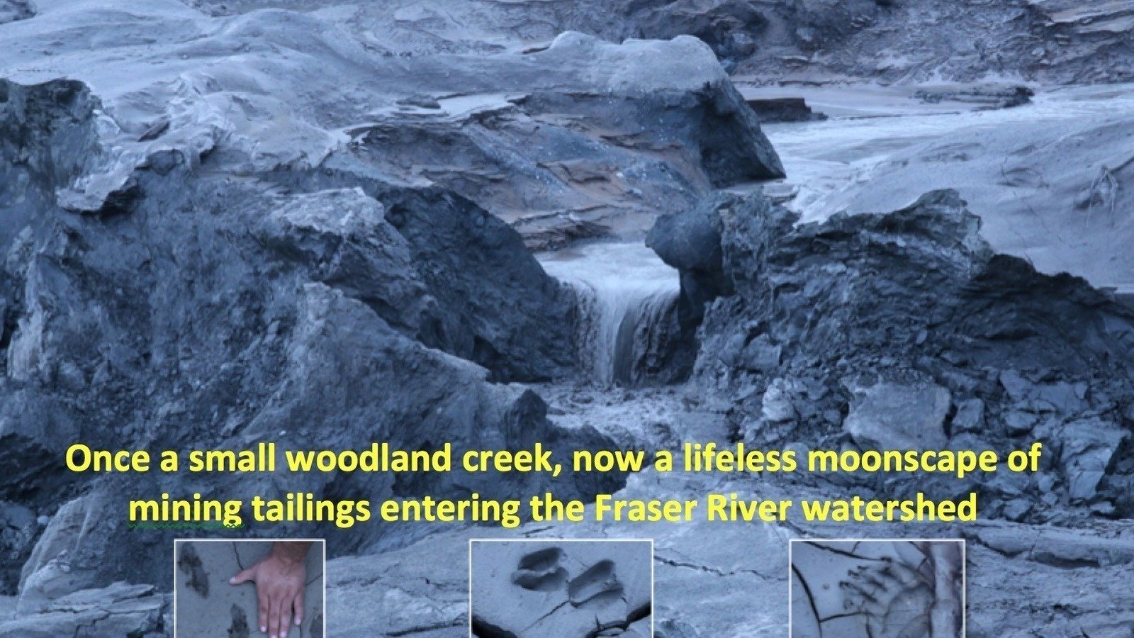 Petition · Clean up the Mt. Polley Mine disaster. Put the sludge back ...