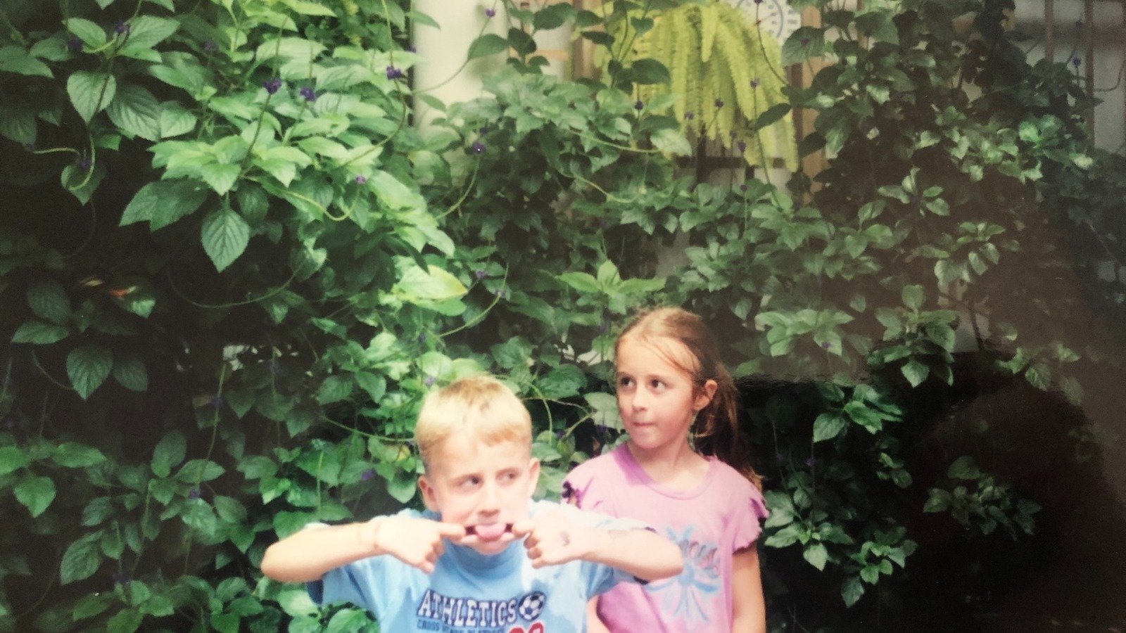 Petition · Bring back Dave and Busters grilled cheese · Change.org