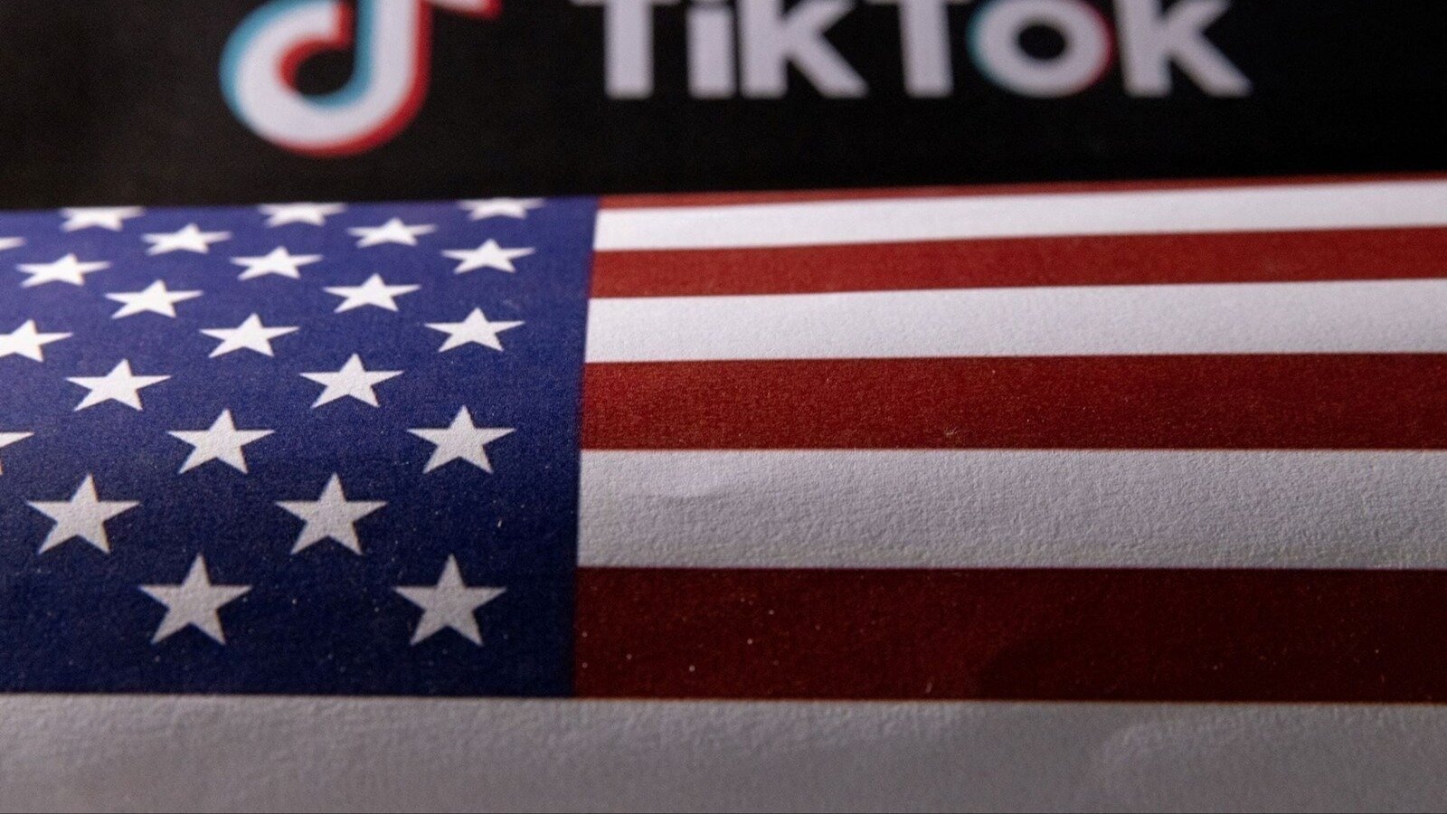 Petition · Urge the US Government to Halt the TikTok Ban - United ...