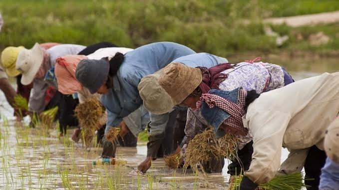 Petition · Support Our Local Farmers - Philippines · Change.org