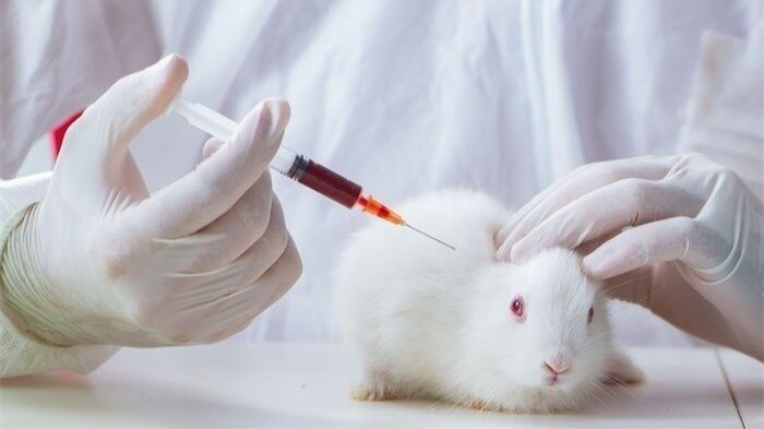 Petition · Against Animal Testing - United States · Change.org