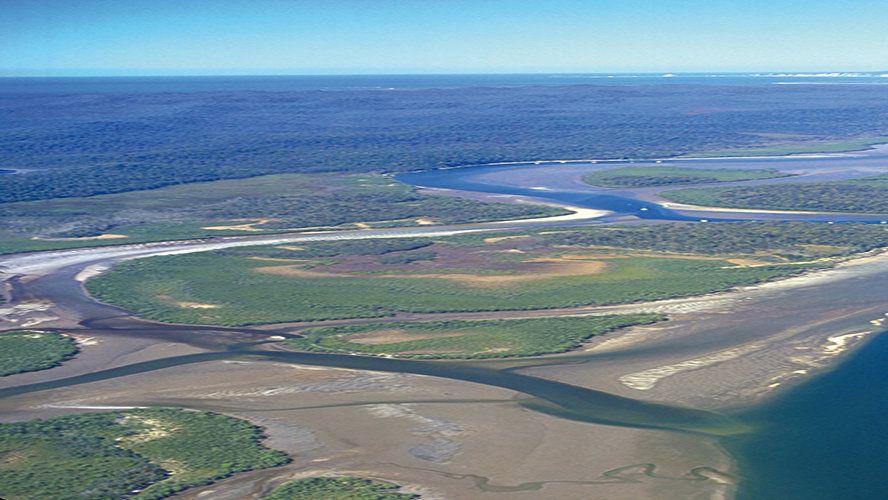 Petition · Demand Scrutiny For New Hope's Colton Coal Mine - Australia ...