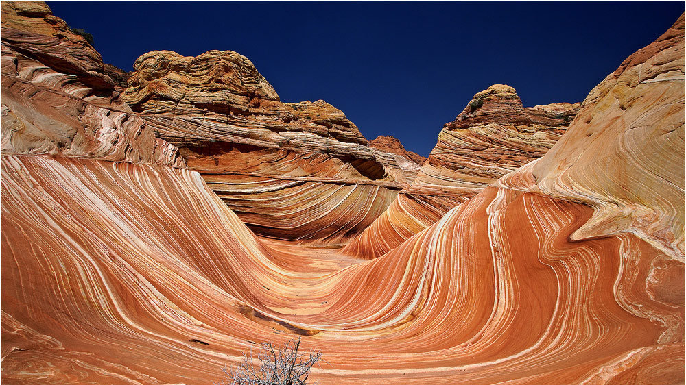 Petition · Save Our national Monuments - United States · Change.org