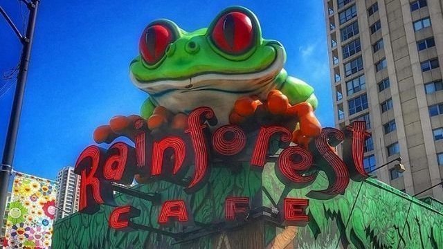 Petition · Save the Rainforest Cafe Frog - United States · Change.org