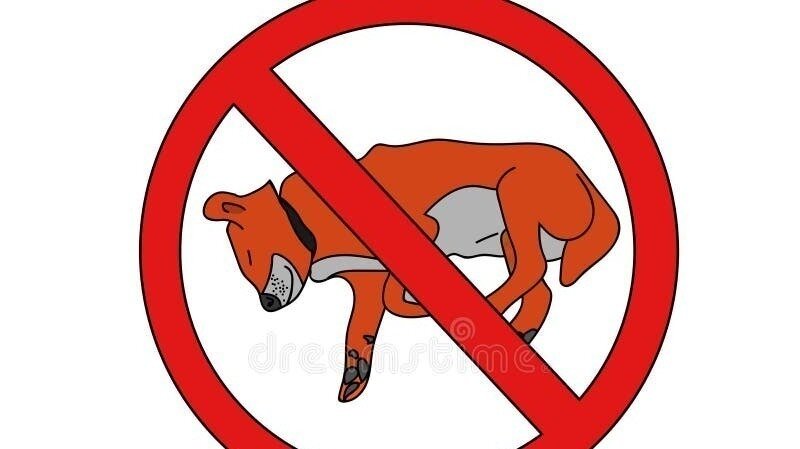 Petition · End the Unlawful Killing of Prohibited Animals - Philippines ...