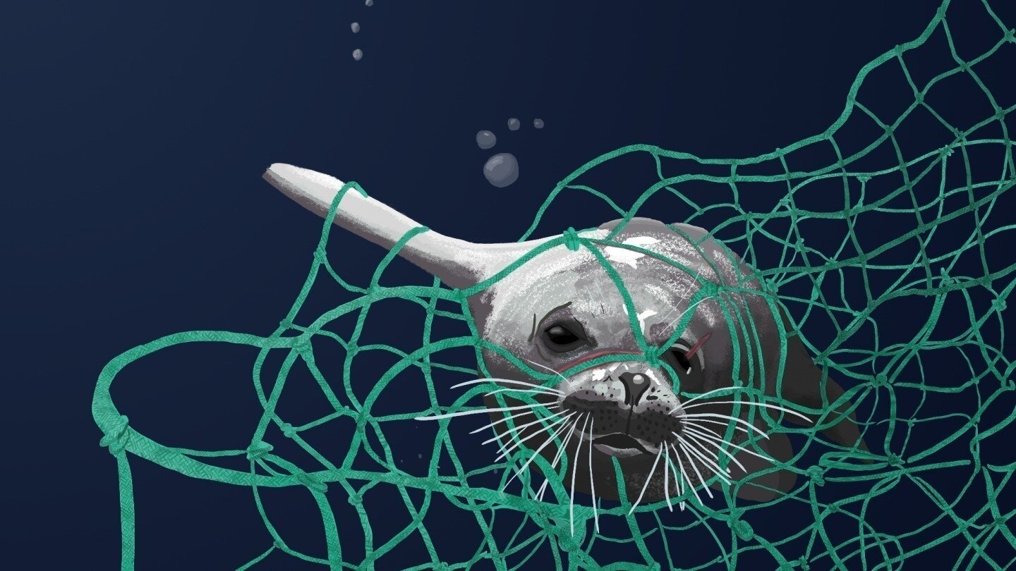 Petition · Oceanity Marine Life Protection - Help Save our Oceans ...