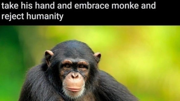 Petition · Make Monke World Leaders - Canada · Change.org