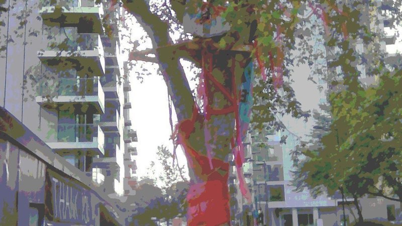 Petition · Support the Happy Man Tree becoming the official London tree ...