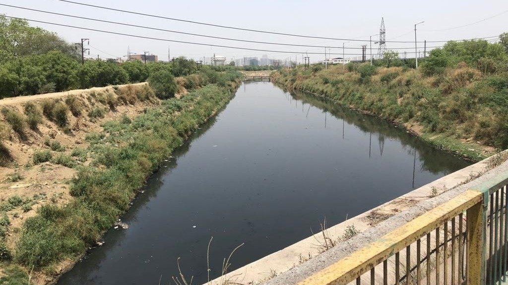 Petition · Implement a sustainable solution for the hazardous Noida ...