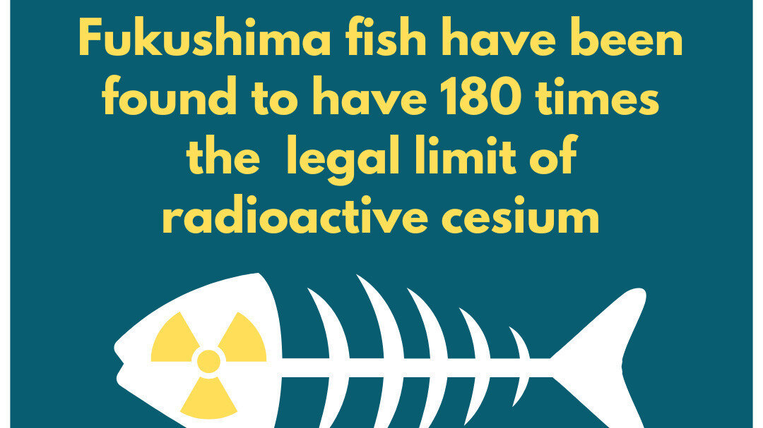 Petition update · Japan Begins Dumping Radioactive Wastewater · Change ...