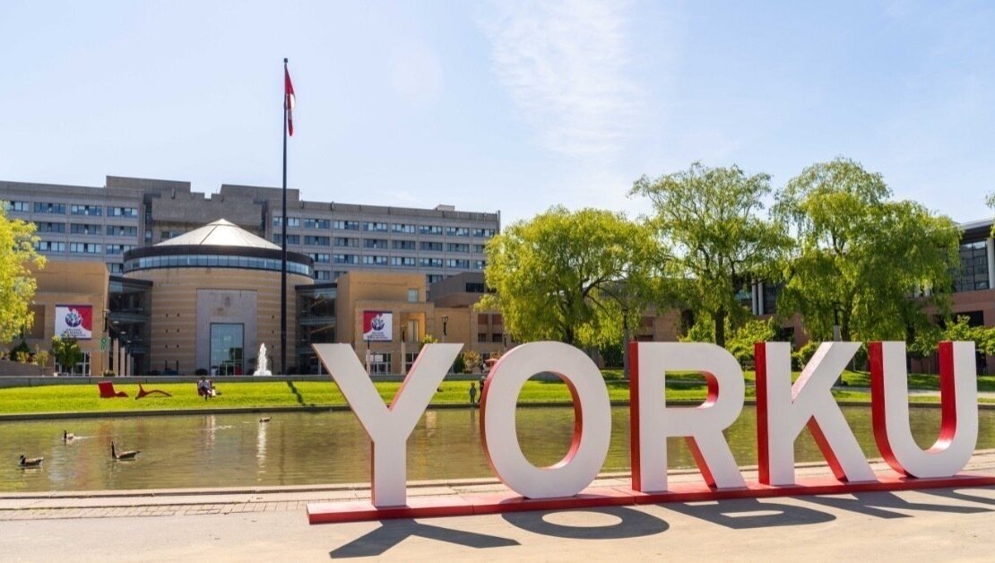 petition-stop-the-strike-at-york-university-and-listen-to-what