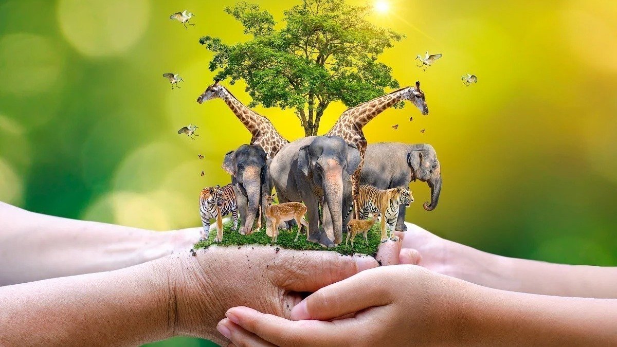 Petition · Animal Welfare and rights. - Philippines · Change.org