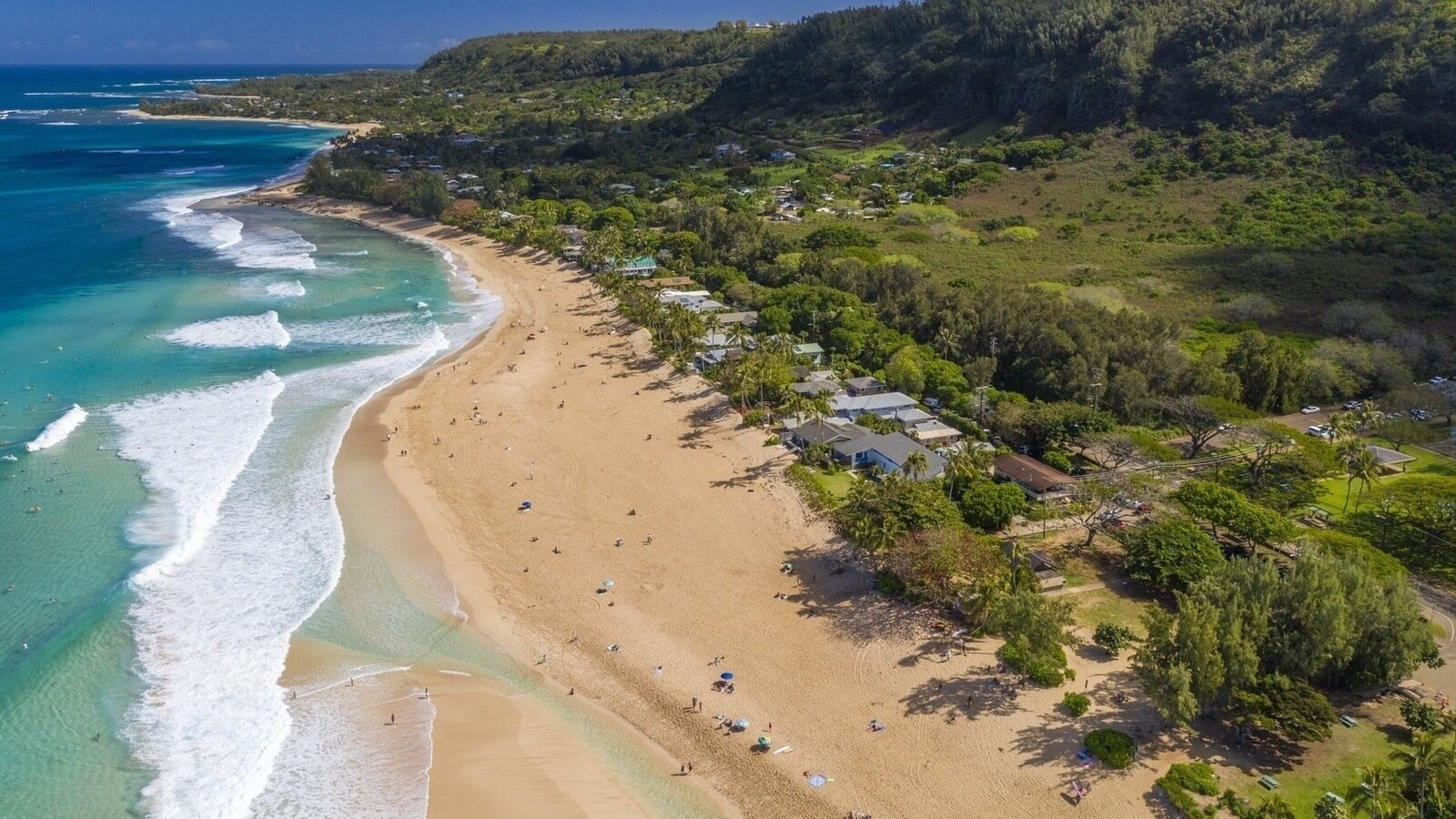 Petition · Call for New Leadership at Sunset Beach Elementary - Haleiwa ...