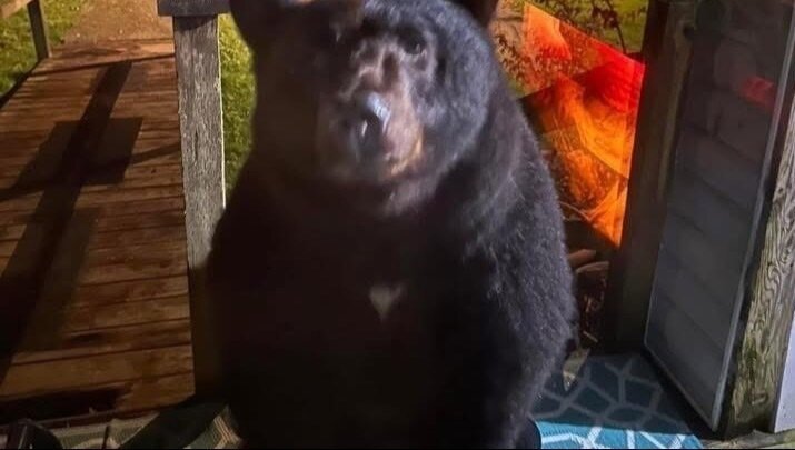 Petition · Bring Back Metal Bins for Community SAFETY - for ...