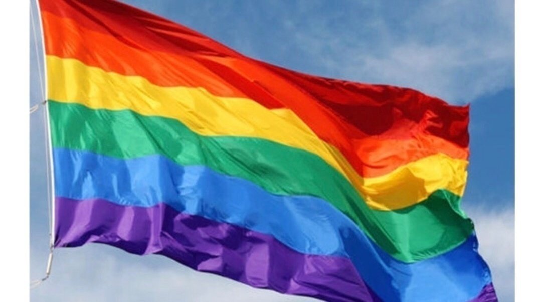 Petition · Stop LGBT+ merchandise being re-branded as the NHS flag ...