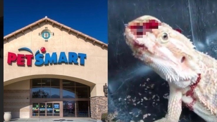 Petition Petsmart Stop Petsmart Husbandry Issues