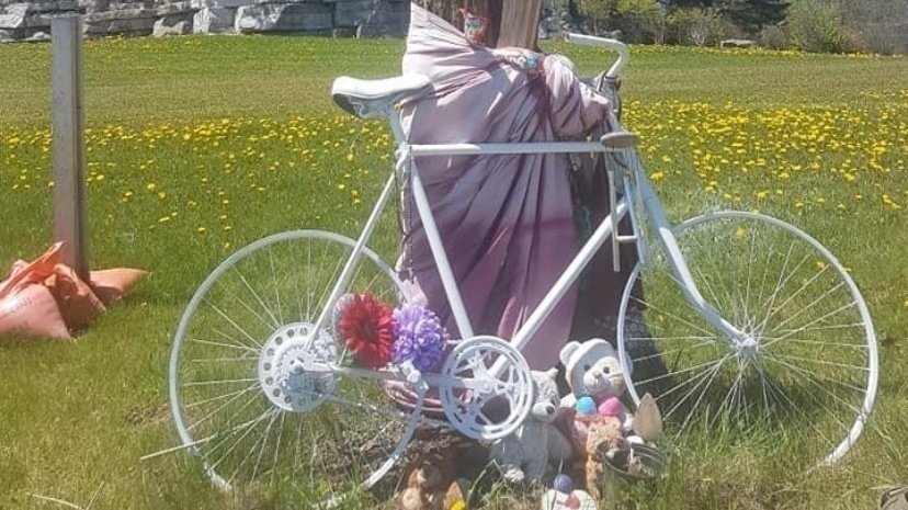 Petition · Get a park named for Daunte Thompson-Bruce - Whitchurch ...