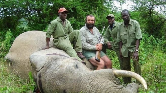 Petition · Stop the legal killing of wildlife . STOP TROPHY HUNTING ...