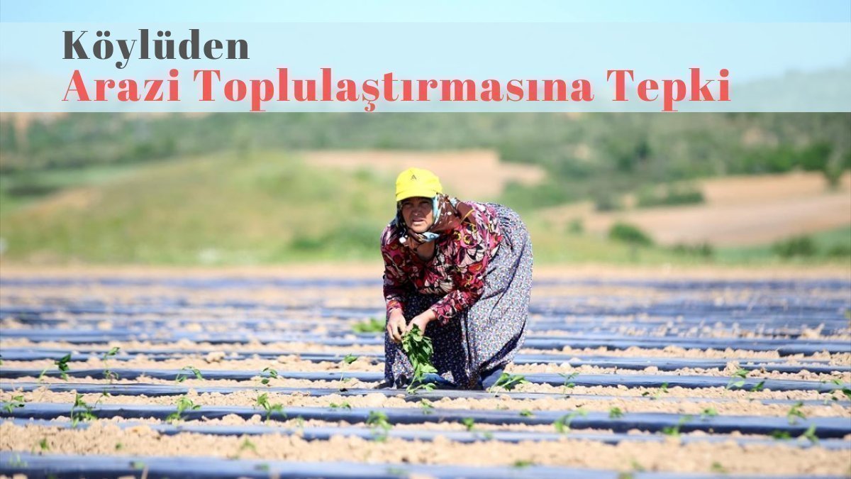 Kampanya · Gıda Güvenliği İçin Trakya’da Arazi Toplulaştırması ...