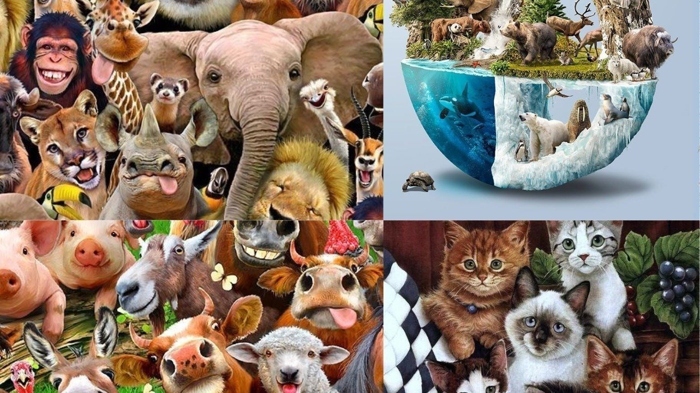 Petition · Save and protect the animals in our country - Philippines ...