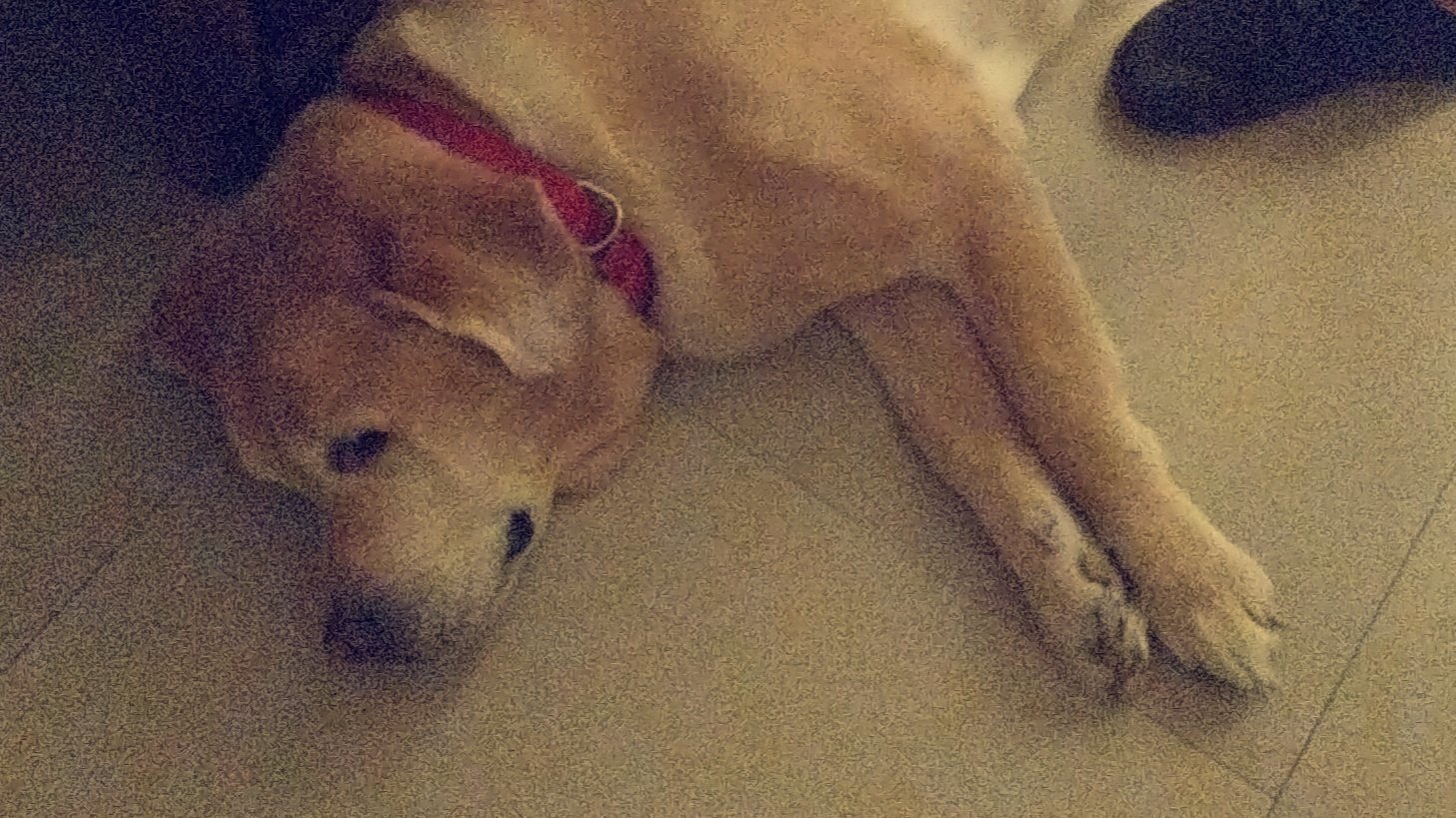 Petition · One packet of Maggi is too less and two packets are two much ...