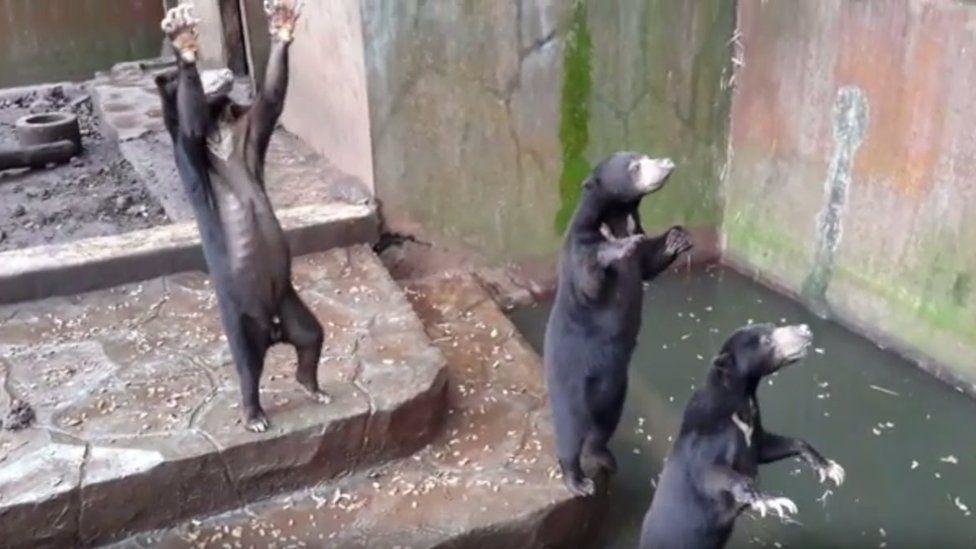 Petition · Petition is trying to shame Ridwan Kamil, major of Bandung ...