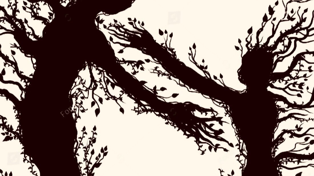 Petition · Justice for Avery! Remove Susan Tierney from the bench ...