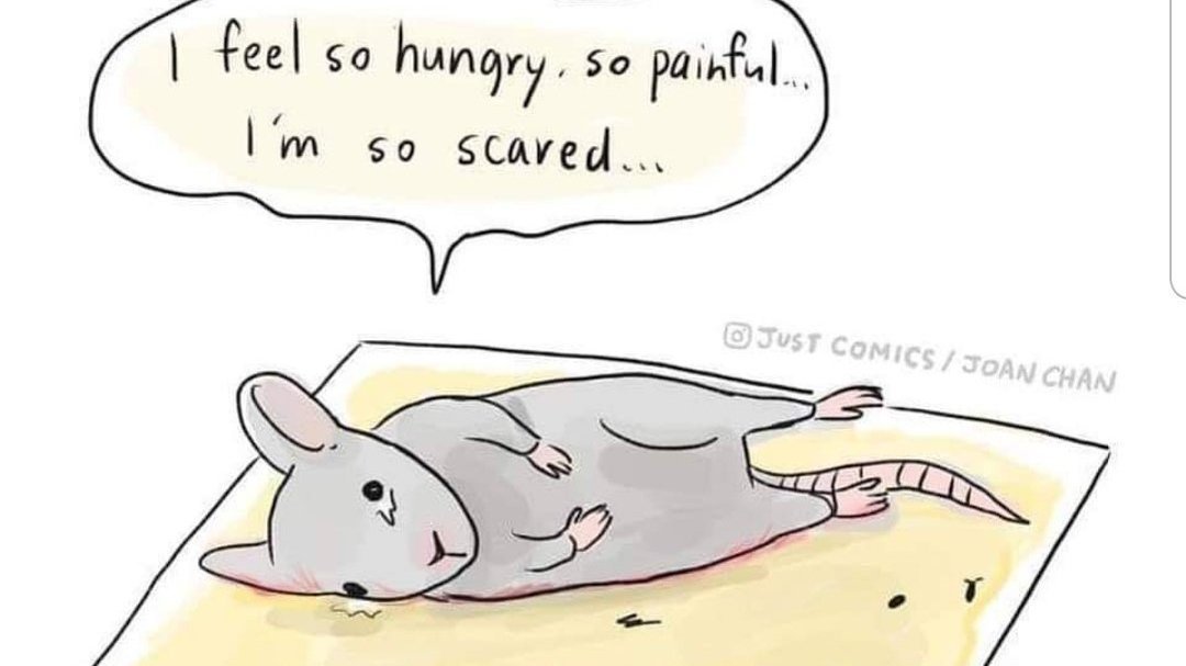 Petition · STICKY TRAPS ARE INHUMANE - CALL TO ACTION - United States ...