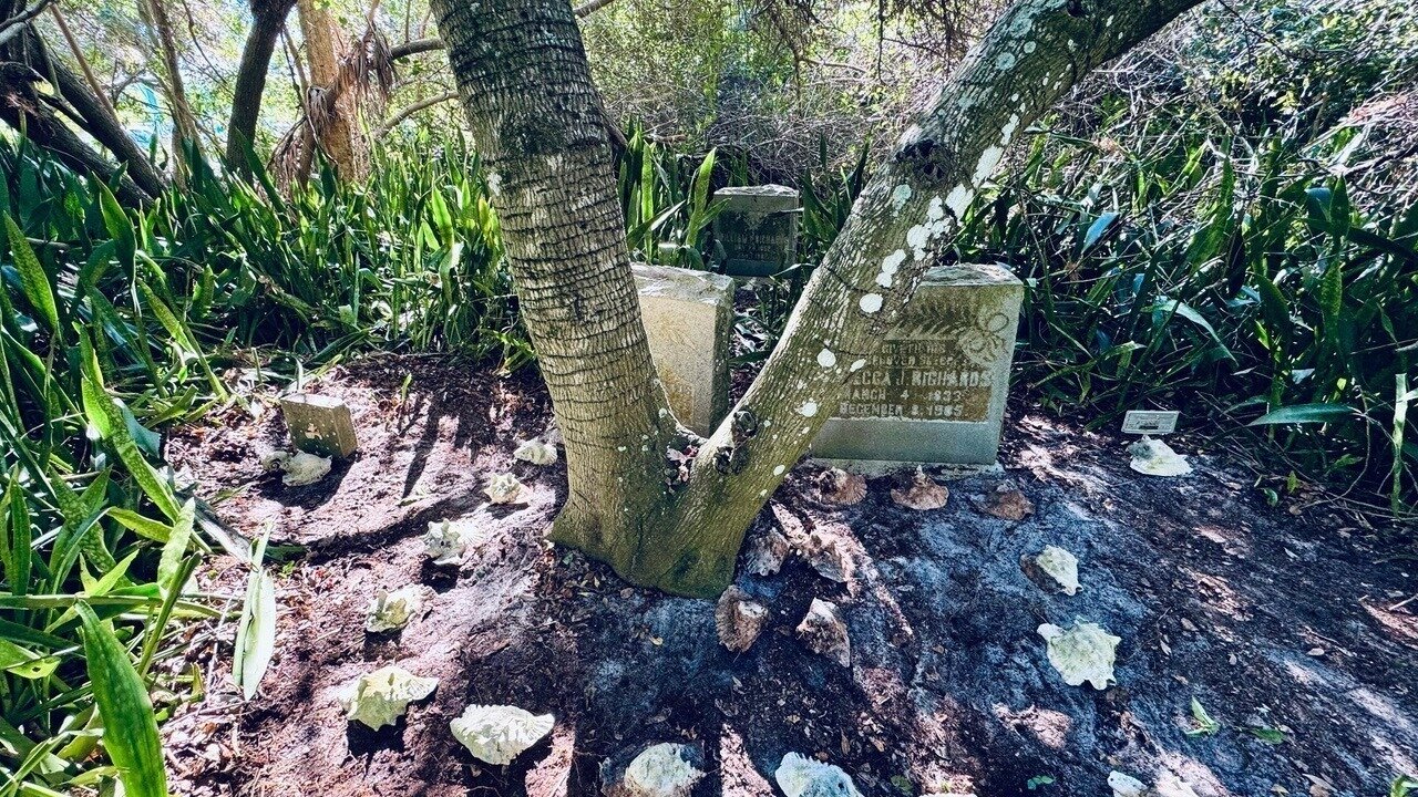 Petition · Support Historic Eden Cemetery - Let's Preserve its History ...
