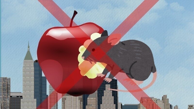 Petition · Reduce Rat Population in Astoria, Queens - United States ...