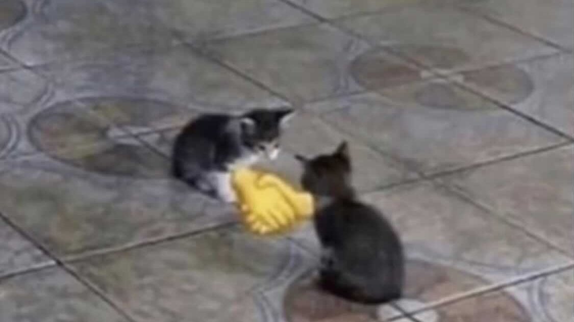 Petition · dean going bald. - United States · Change.org