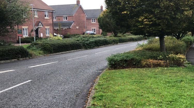 Petition · Residents of St. Andrews Ridge making Salzgitter Drive safe ...