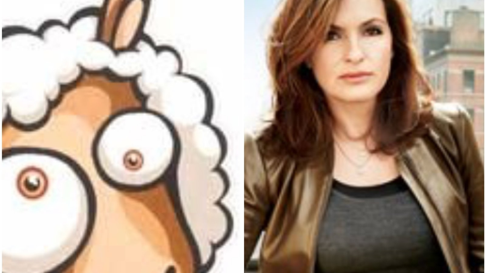 Petition · "Law and Order....NO SHEEP"Save Rick Eid and Julie Martin ...