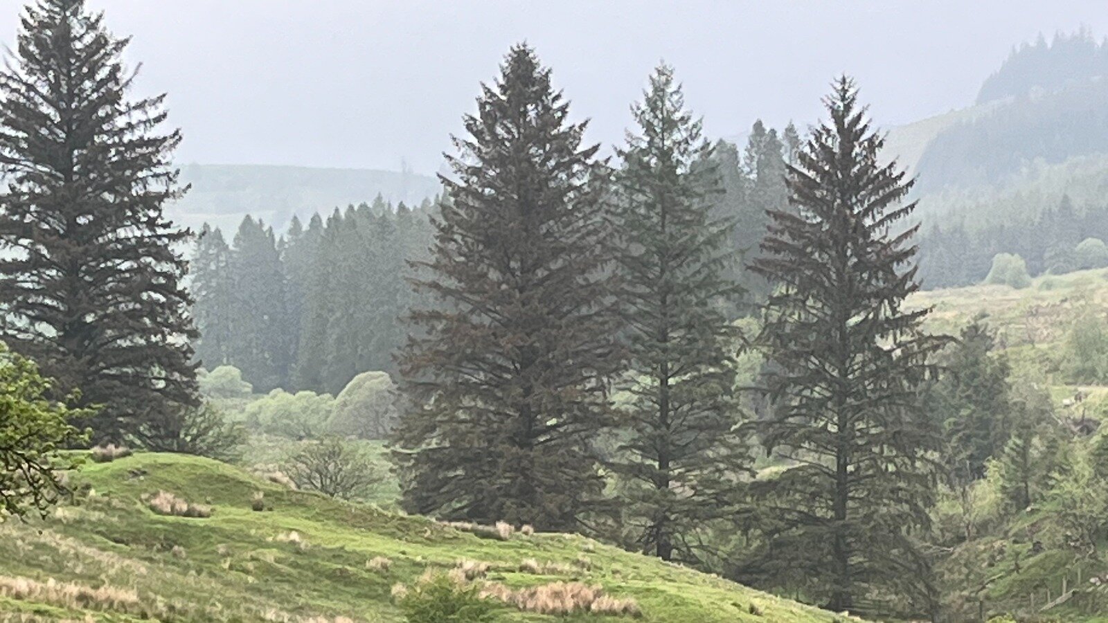 Petition · Stop Harestanes West Windfarm - United Kingdom · Change.org