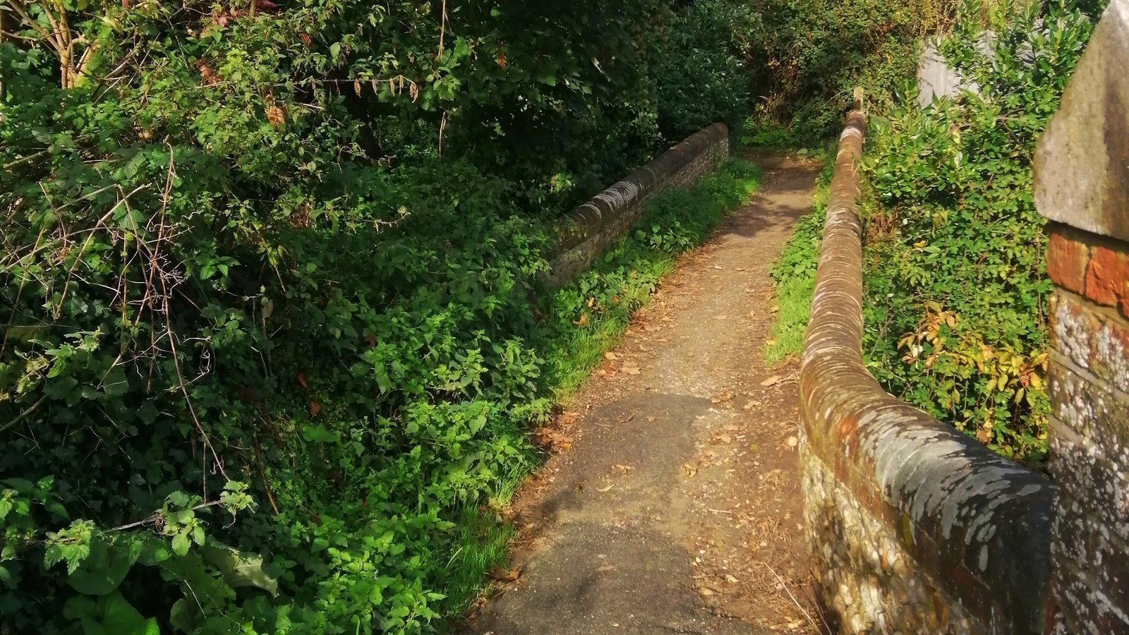 Petition · Save Our Beautiful Bridge from Being Defaced - United ...