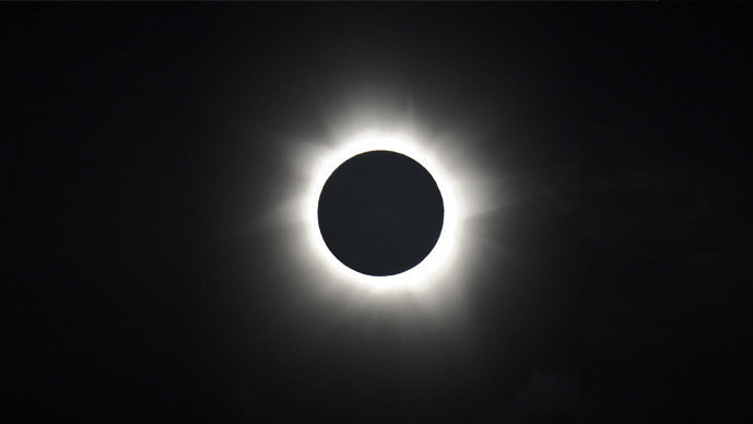 Petition · Media Blackout Campaign · Change.org