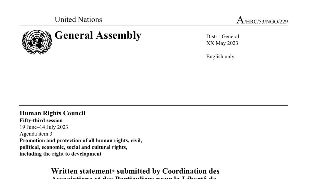 Petition update · Written statement to the United Nations Human Rights ...