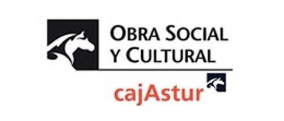 Petición · Que la Fundación Cajastur invierta en obras sociales para ...