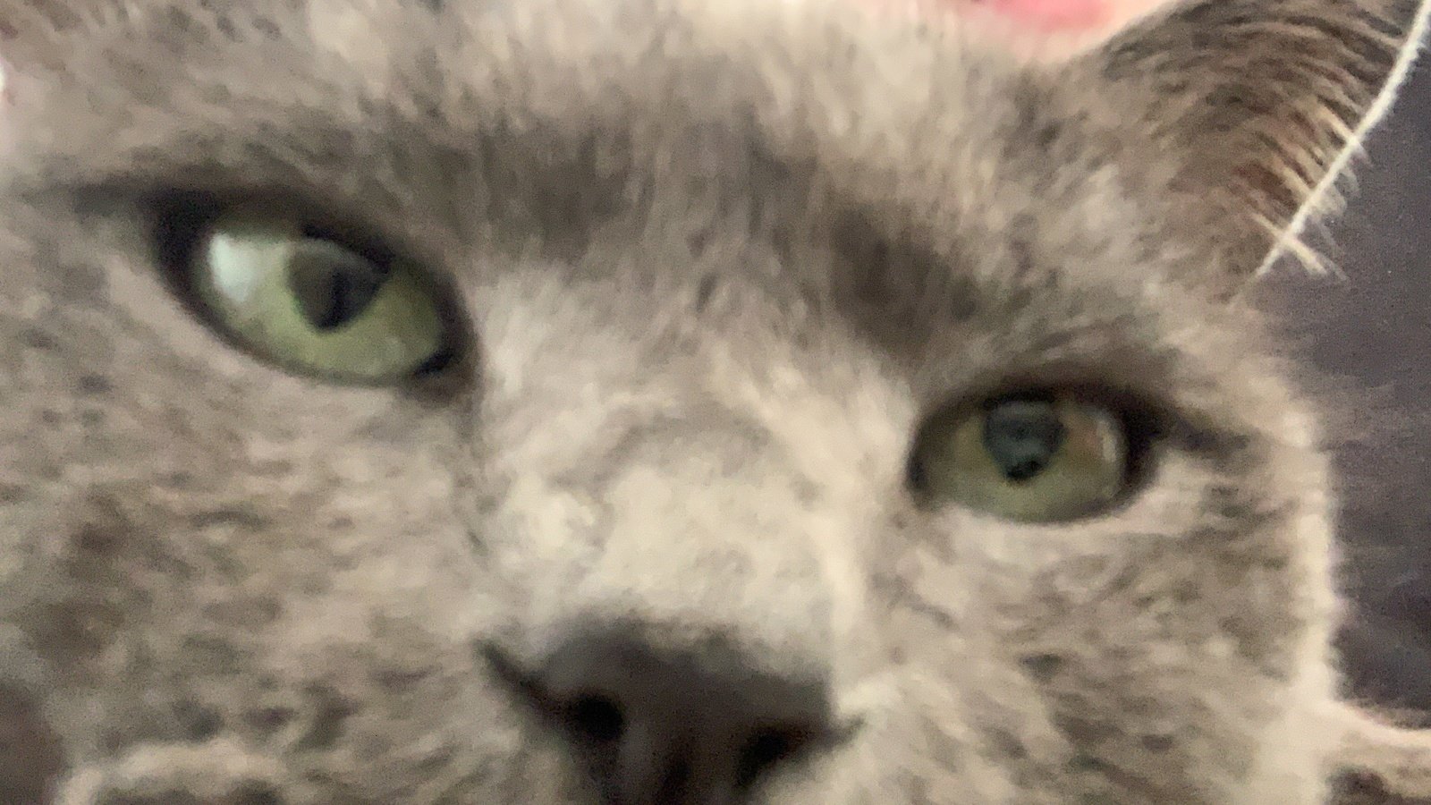 Petition · allowed to come in pe kits instead of getting changed ...