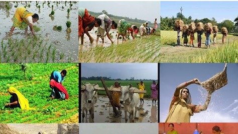 Petition · Save Indian farmers and Agriculture! As Mahatma said India's ...