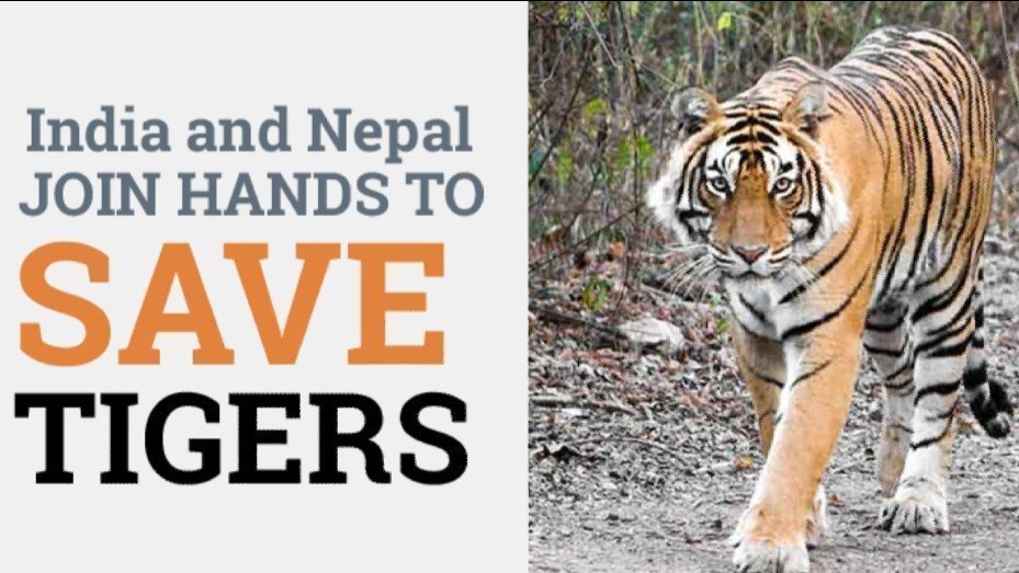 Petition · Save tiger - India · Change.org